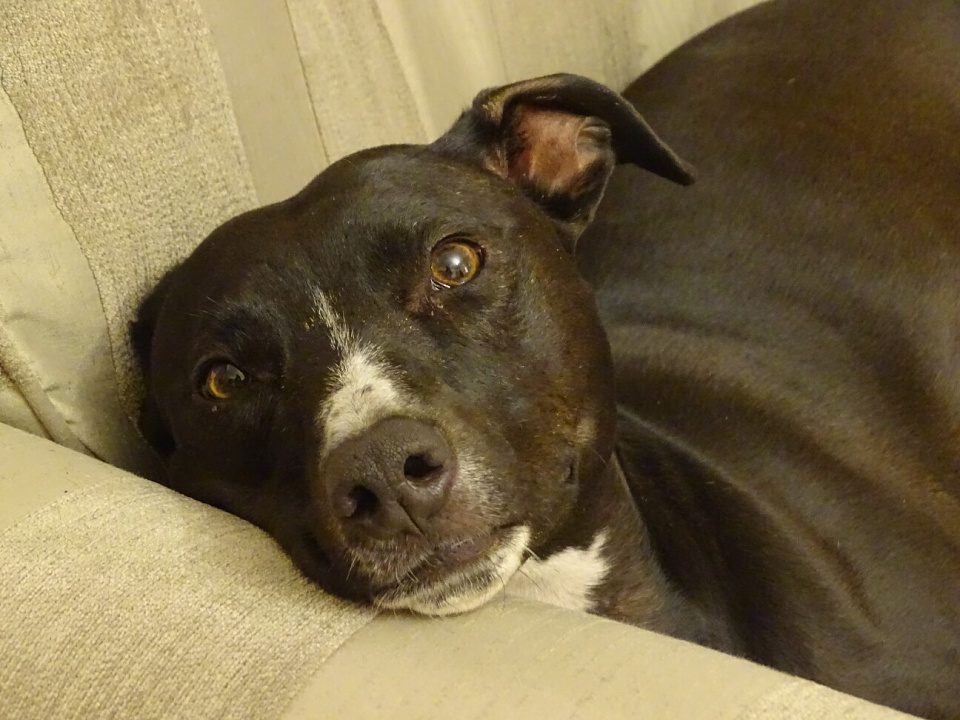 Lovely Flo. | raffin | Blipfoto