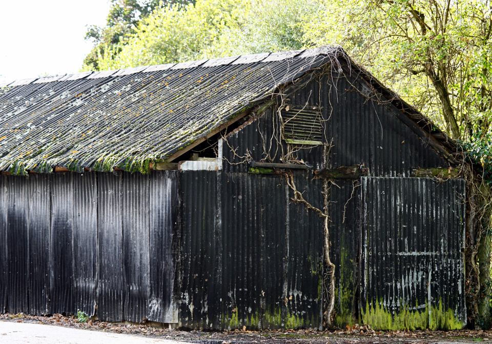 Shady shed... | lesmark | Blipfoto