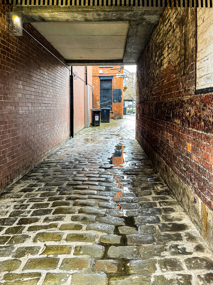 Ginnel | Ellisroger | Blipfoto