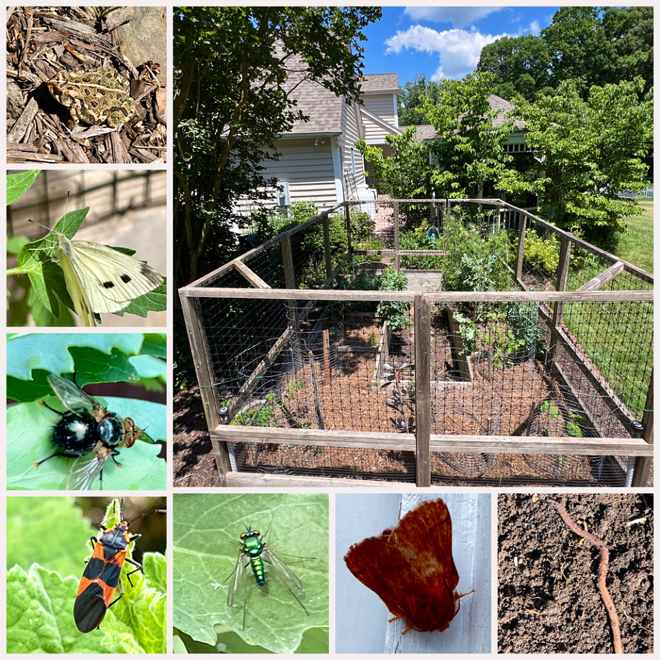 Grammy’s Garden Helpers | Grammy | Blipfoto