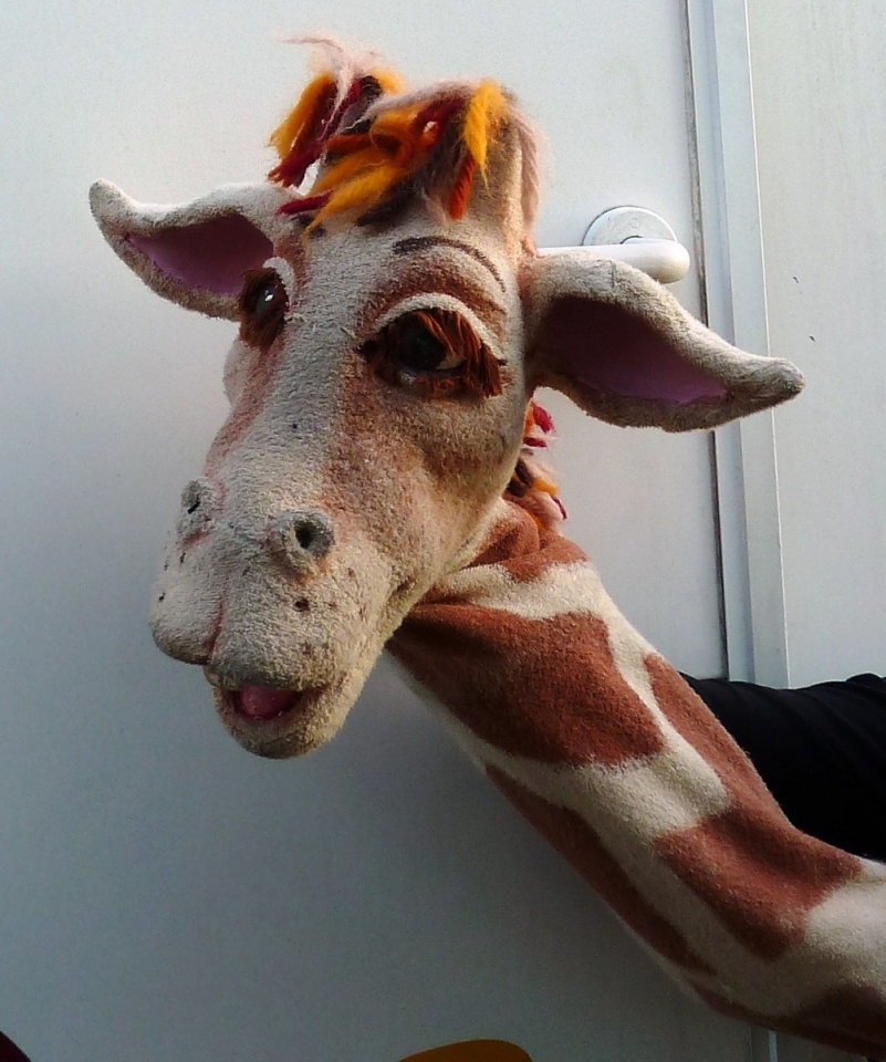 Harold | JJ46 | Blipfoto