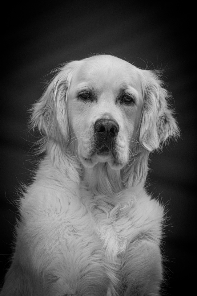 Whaddya doing? | jensphotos | Blipfoto