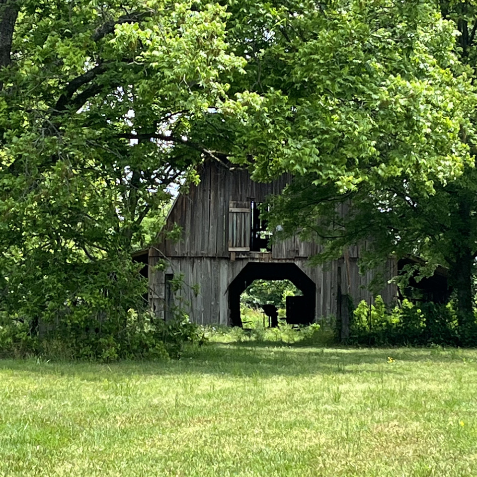 Old Barn | CathyH | Blipfoto