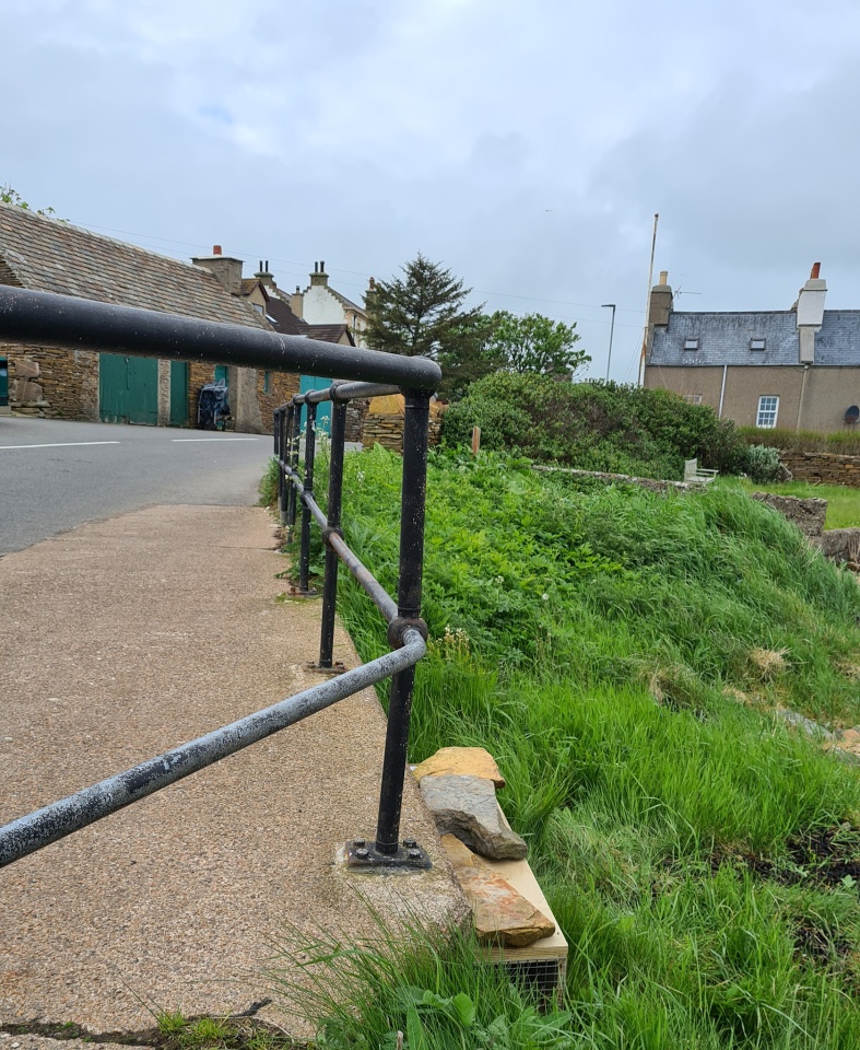 STOAT BOX | EllyJay | Blipfoto