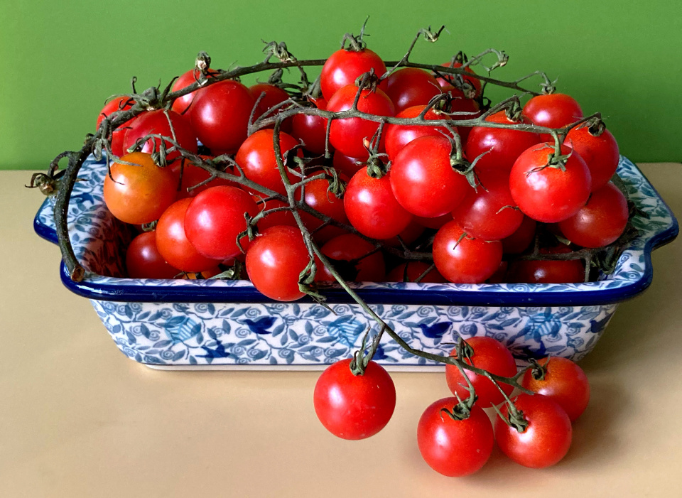 Piccolos | mambo | Blipfoto