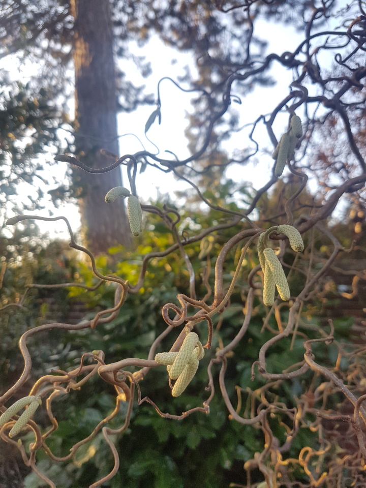 Glimmers of light | ruth_mottram | Blipfoto