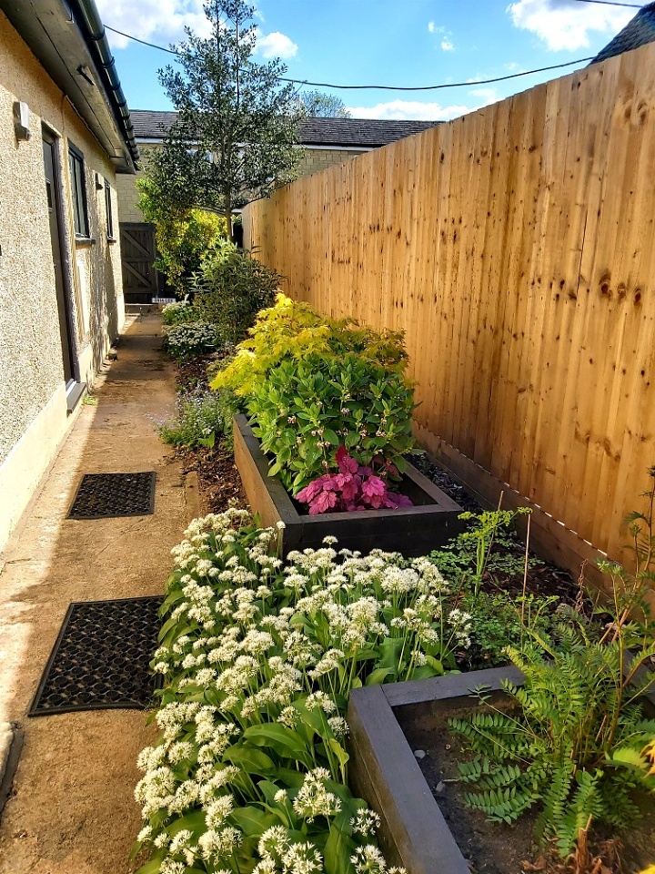 The studio border | Aliscotia | Blipfoto