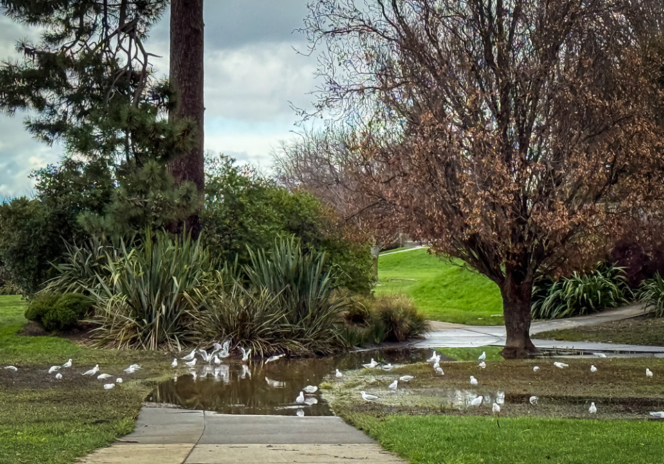 From the Other Side…. | Lizimagiz | Blipfoto