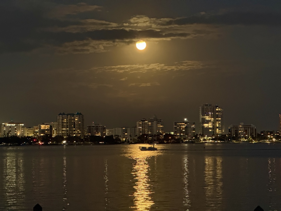 Tonight’s full moon... | SheilaJellison | Blipfoto
