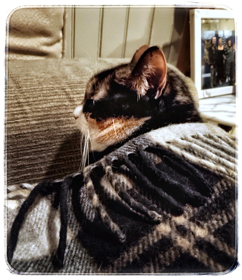 Snug as a bug in a... | Memories4Me | Blipfoto