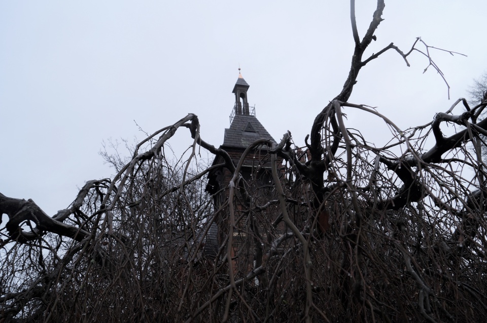 Gothic Barrier | Andycurrie | Blipfoto