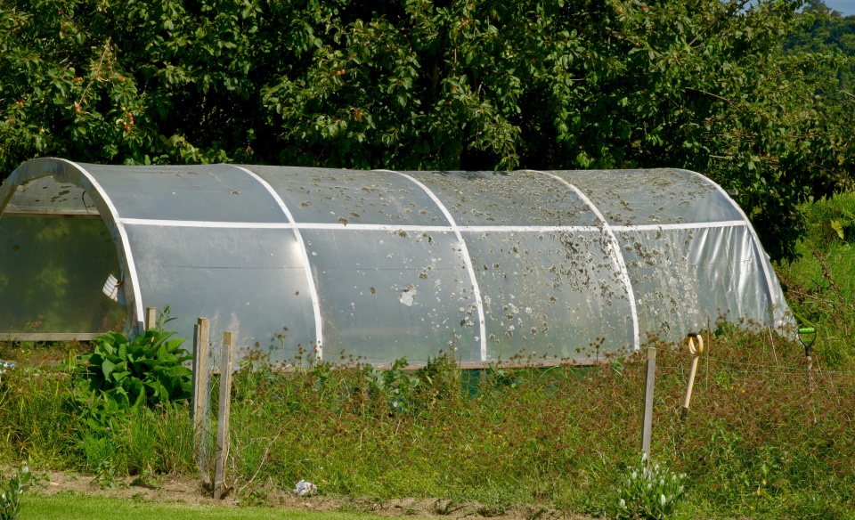 Wide Wednesday - Wide Load... | AndrewNZ | Blipfoto