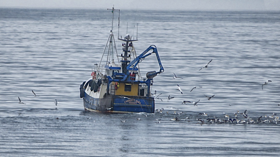 #Arran - fishing | NelsonMcF | Blipfoto