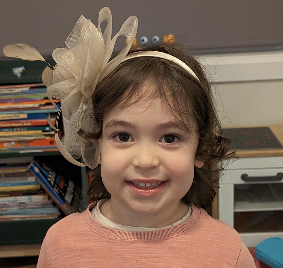 Fascinator | isbi | Blipfoto