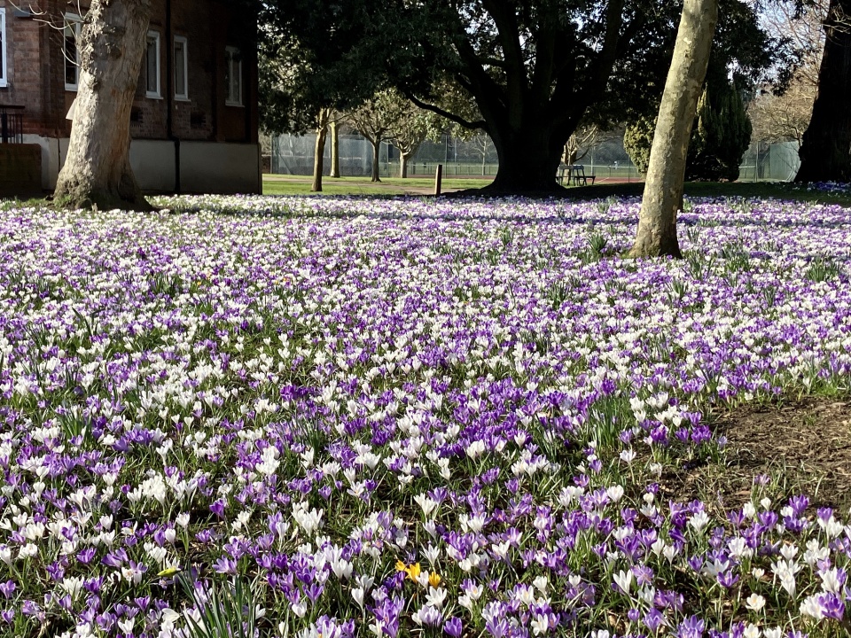 Park again | Jaybay | Blipfoto