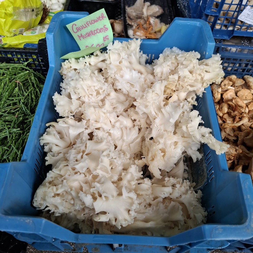 Cauliflower Mushroom | TKM | Blipfoto