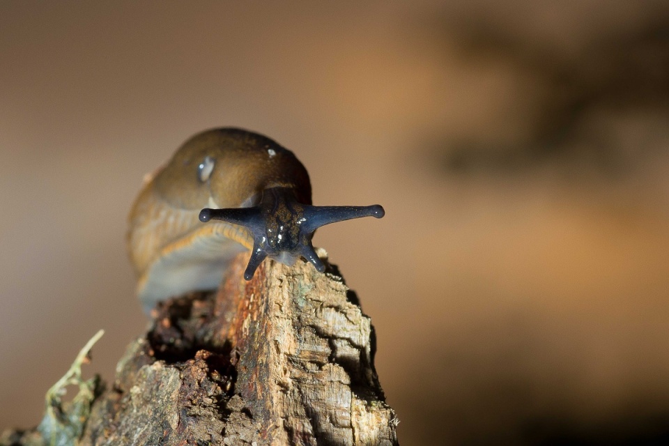 a sluggish day | fotoday | Blipfoto