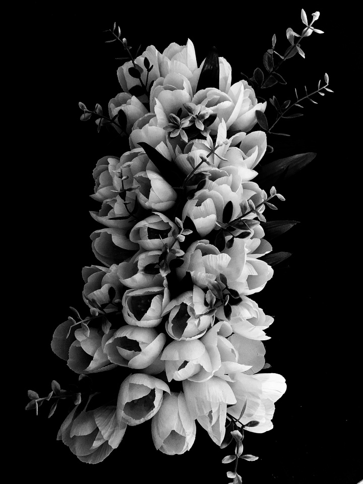 B&W Flowers | WildBeeSea | Blipfoto