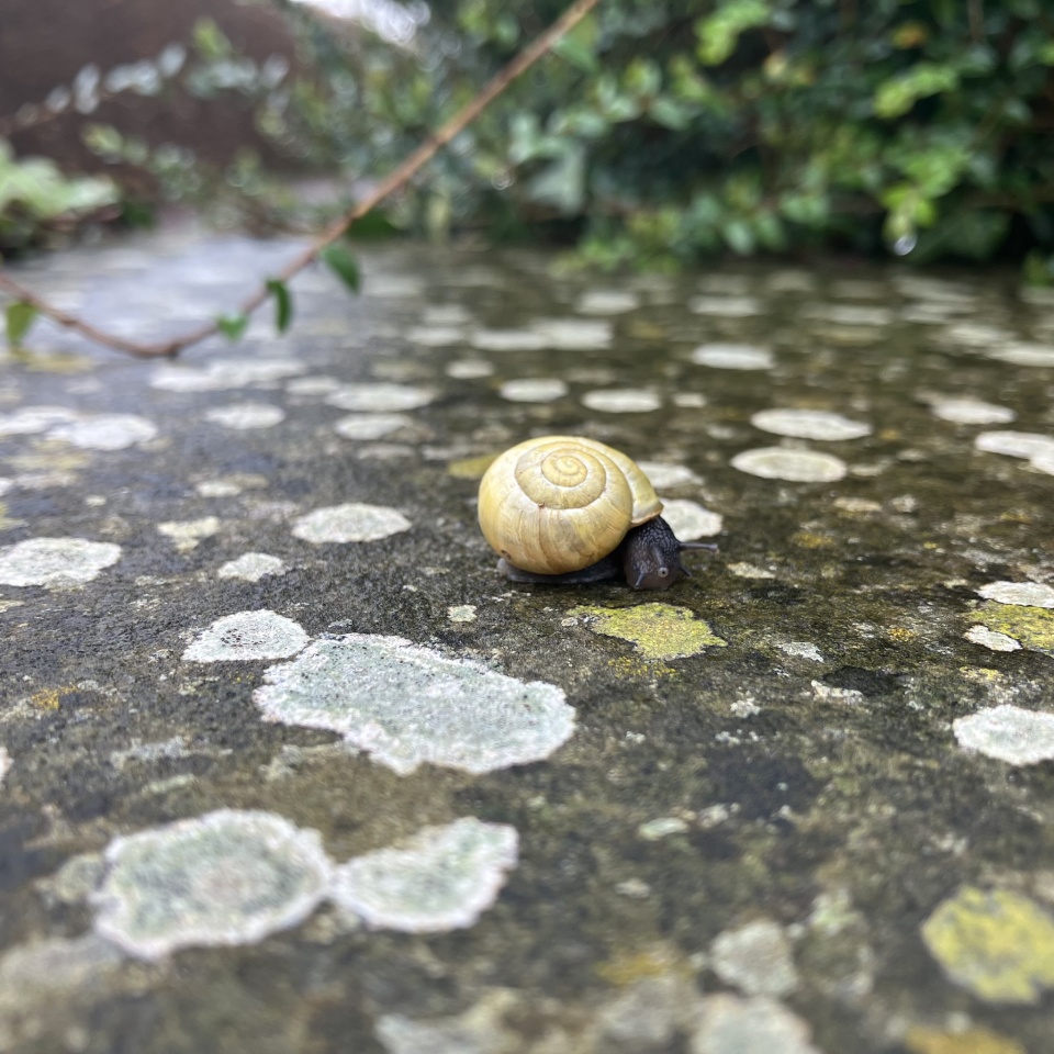 Sunday stroll | Diarised | Blipfoto