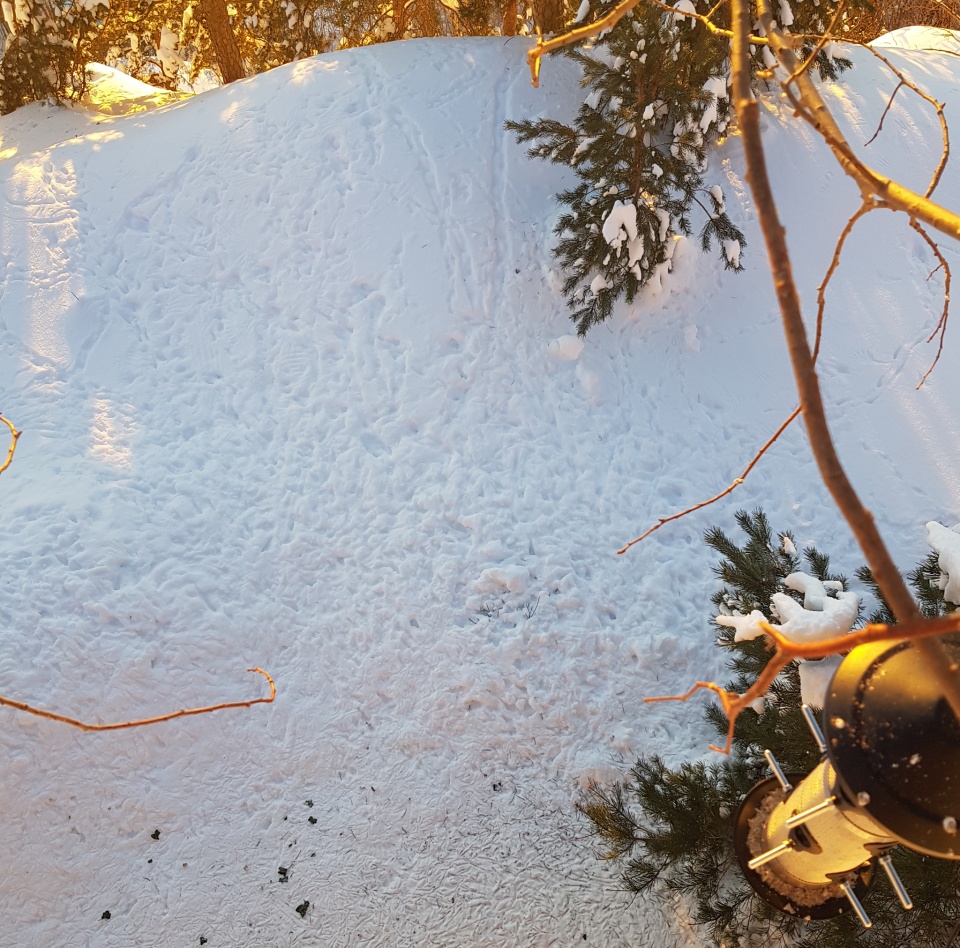 "A bird's eye view" (visual definition) | ljososke | Blipfoto