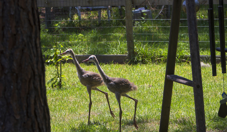 Serenity | bugsman | Blipfoto