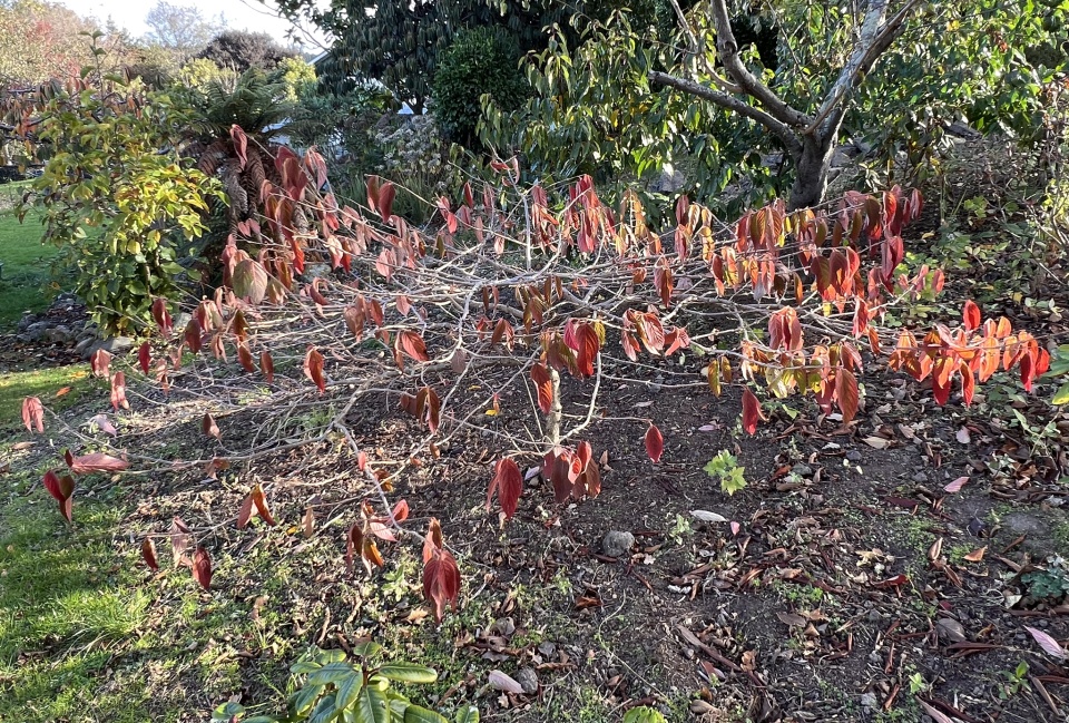 Sorting books … for the last time | Mrsmacdub | Blipfoto