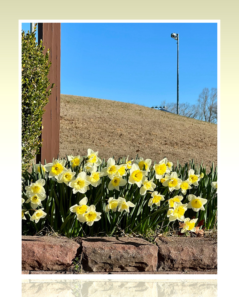 Signs of Spring | Grammy | Blipfoto