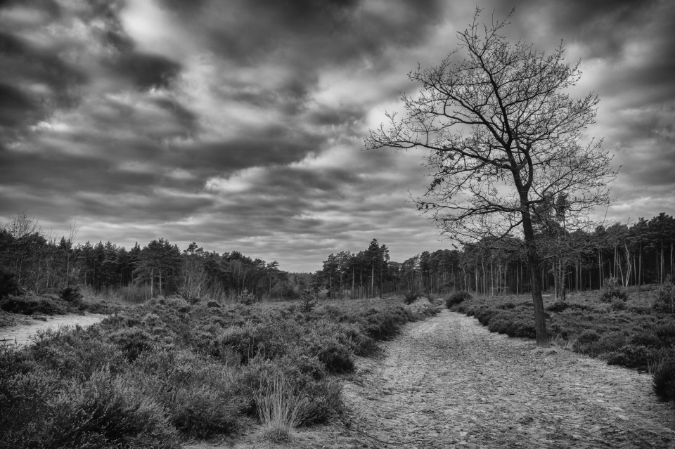 Dull skies | NickyR | Blipfoto