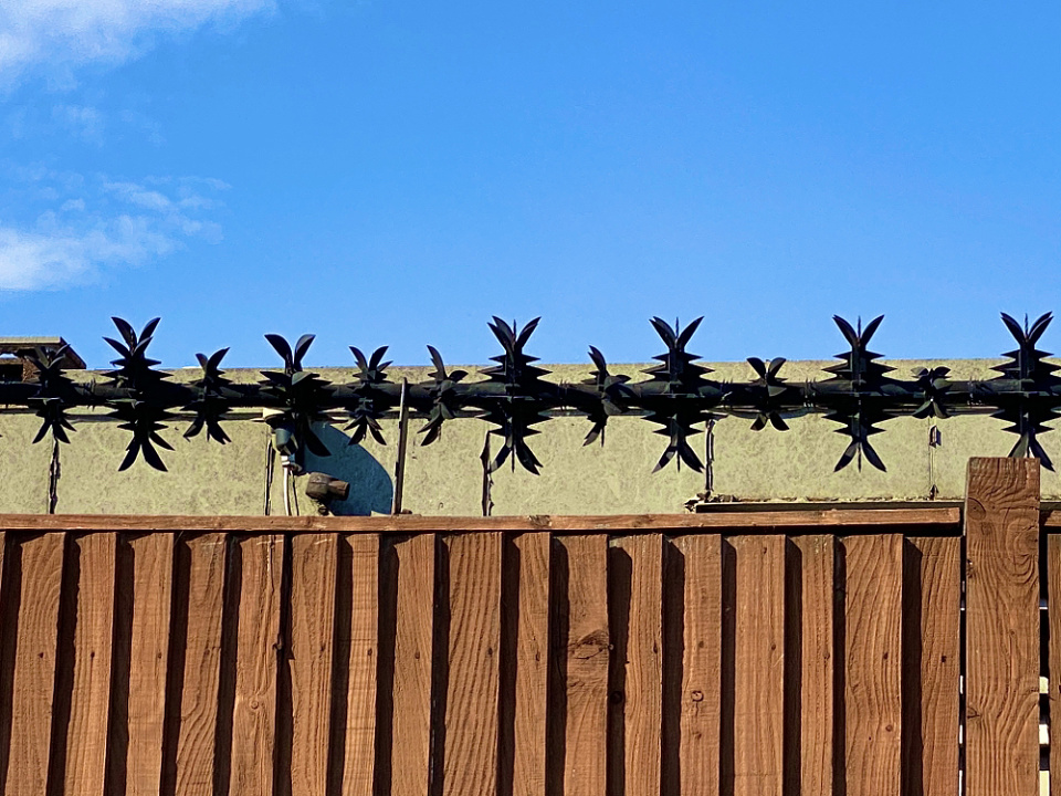 Spikes | Viking | Blipfoto
