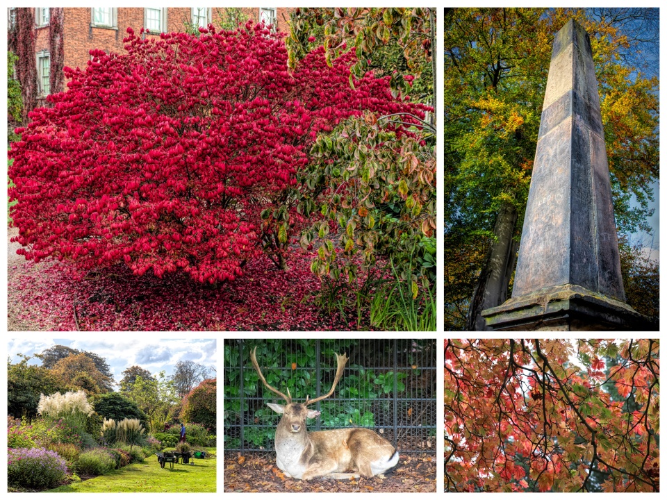 Autumn at Dunham | Green56 | Blipfoto