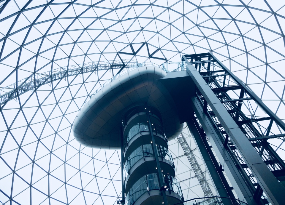 Looking up | Emsie | Blipfoto