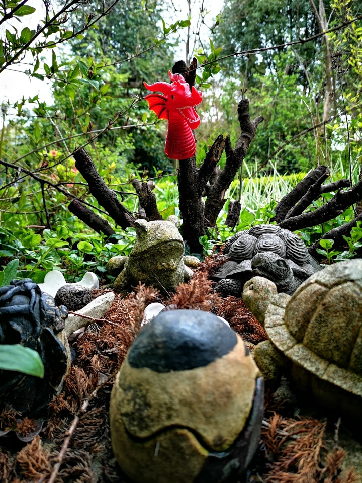 Y ddraig yn yr ardd | tridral | Blipfoto