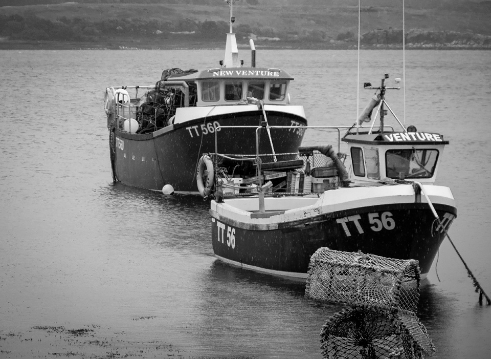 Boating! | snapper | Blipfoto