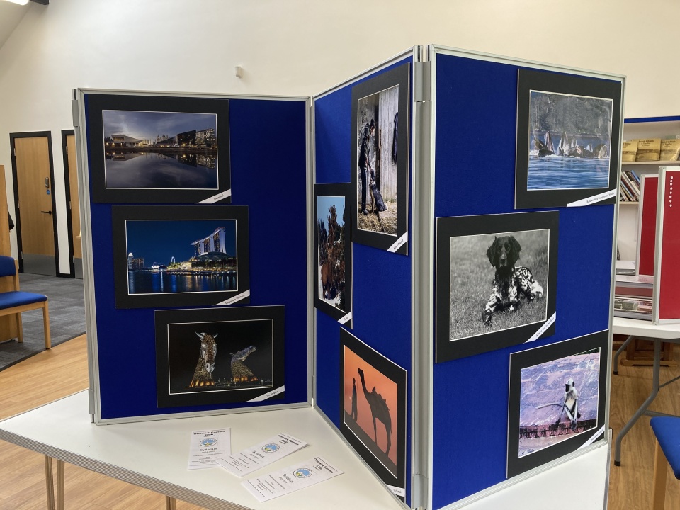 Library exhibition | Green56 | Blipfoto