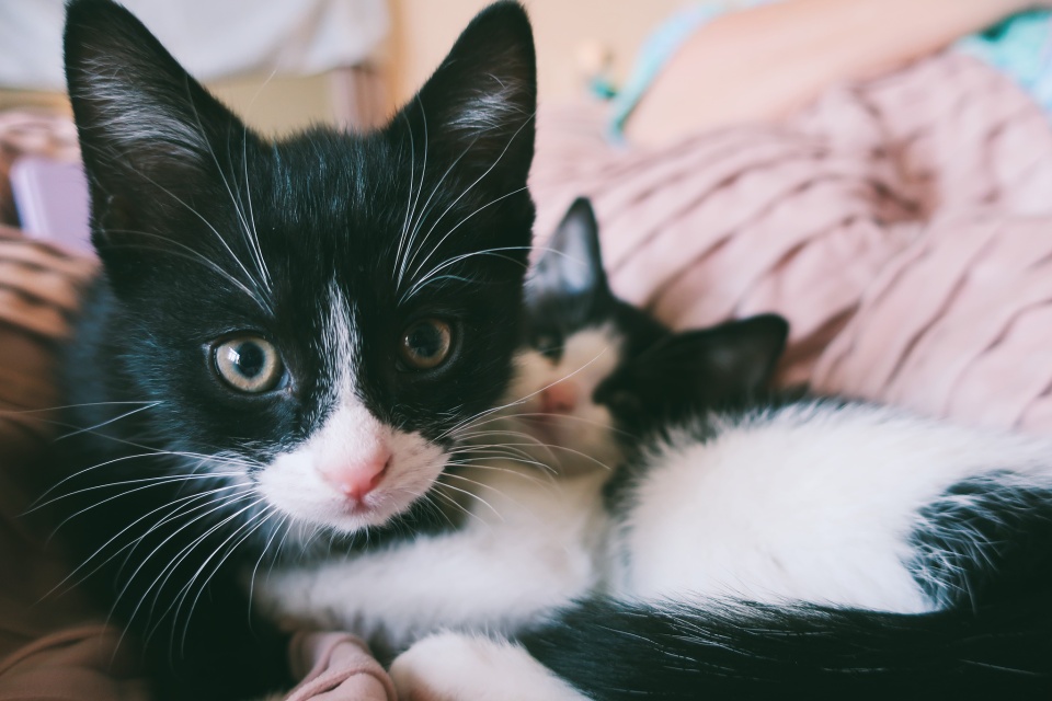 what you got there, Spish? | spishy | Blipfoto