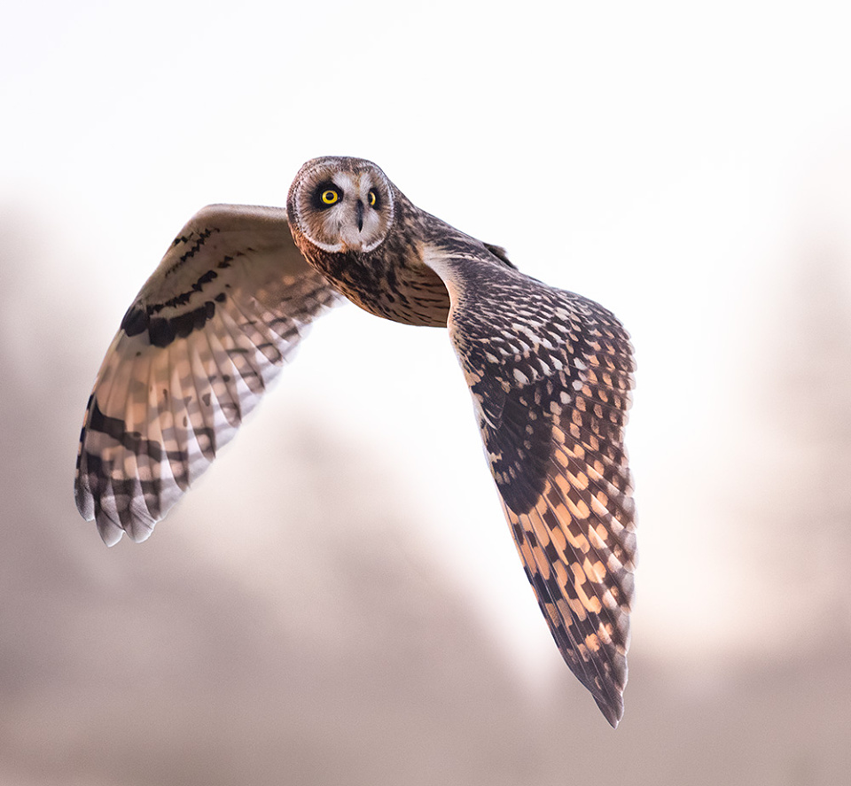 Friday Night | Hillyblips | Blipfoto