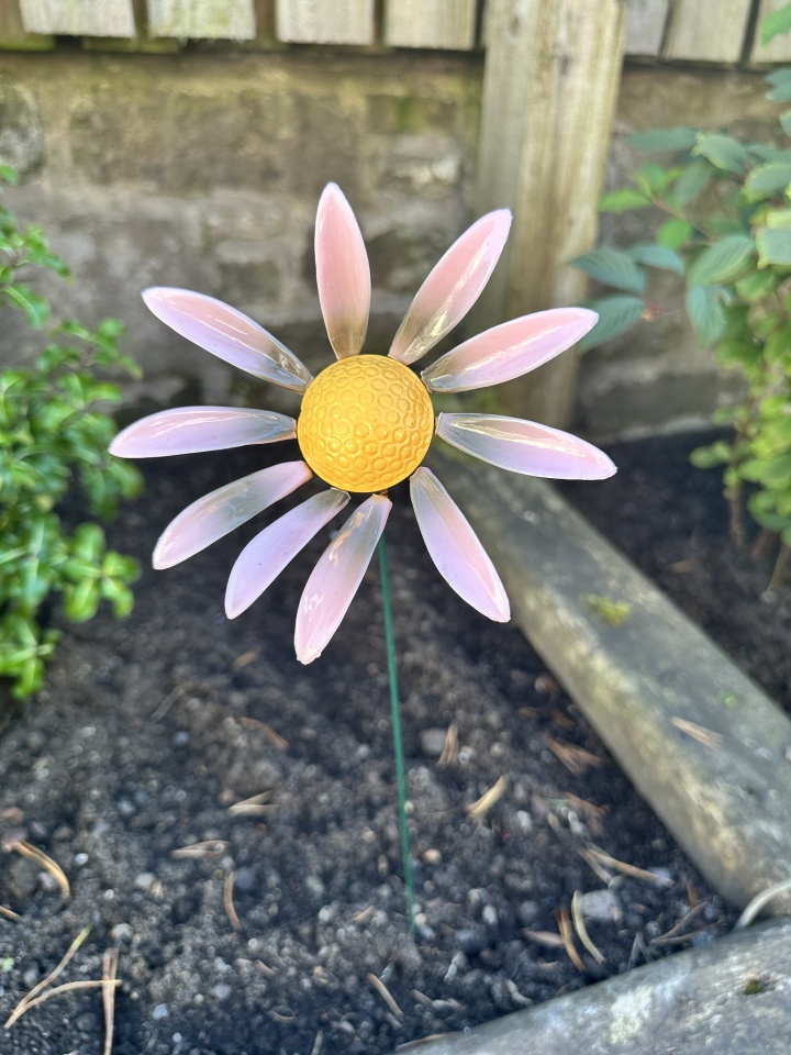 Flower power... | Damnonii | Blipfoto