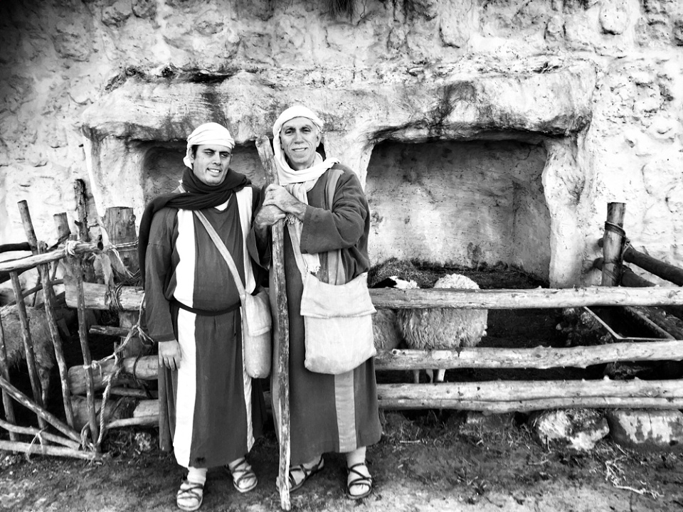 Feeling sheepish? | ClickingCurate | Blipfoto