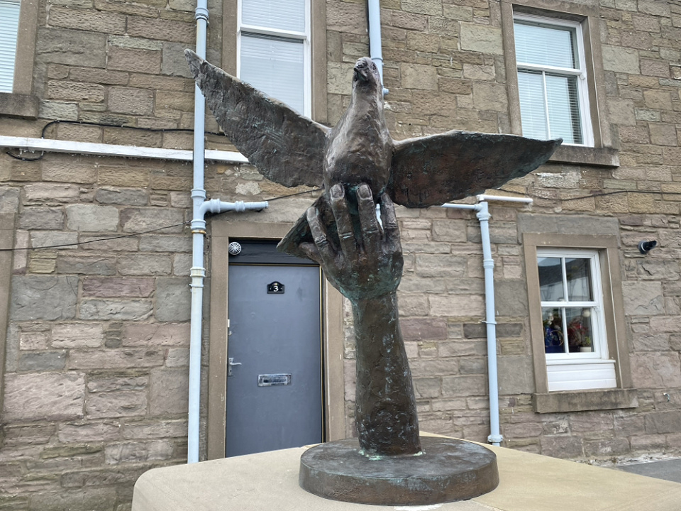 Winkie, a brave Pigeon | CannyScot | Blipfoto