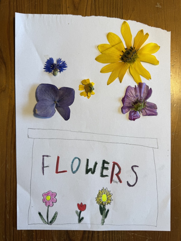 Crafty | Technophobe | Blipfoto