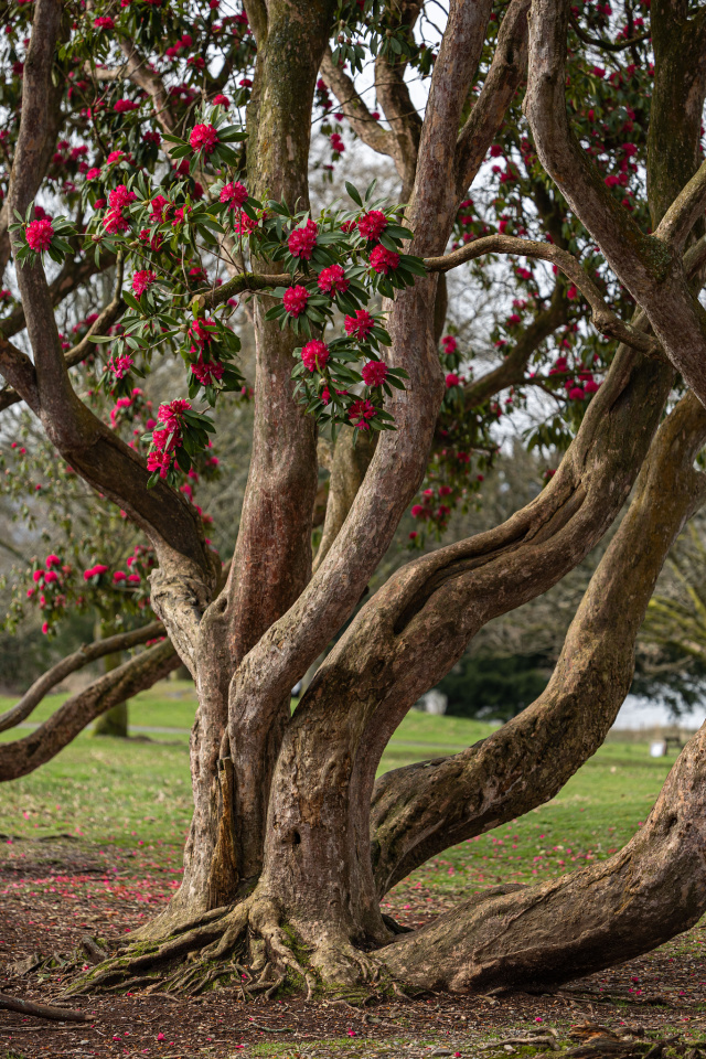 Fell Foot | Fastaperture | Blipfoto