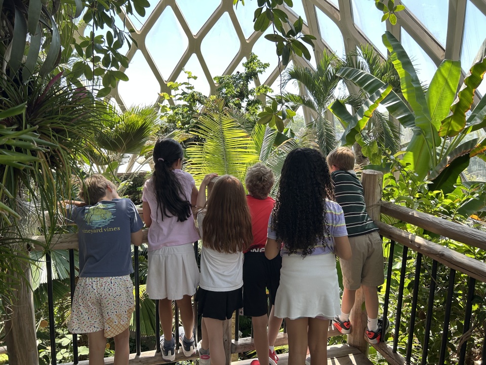 It’s a Favorite | JustineH | Blipfoto