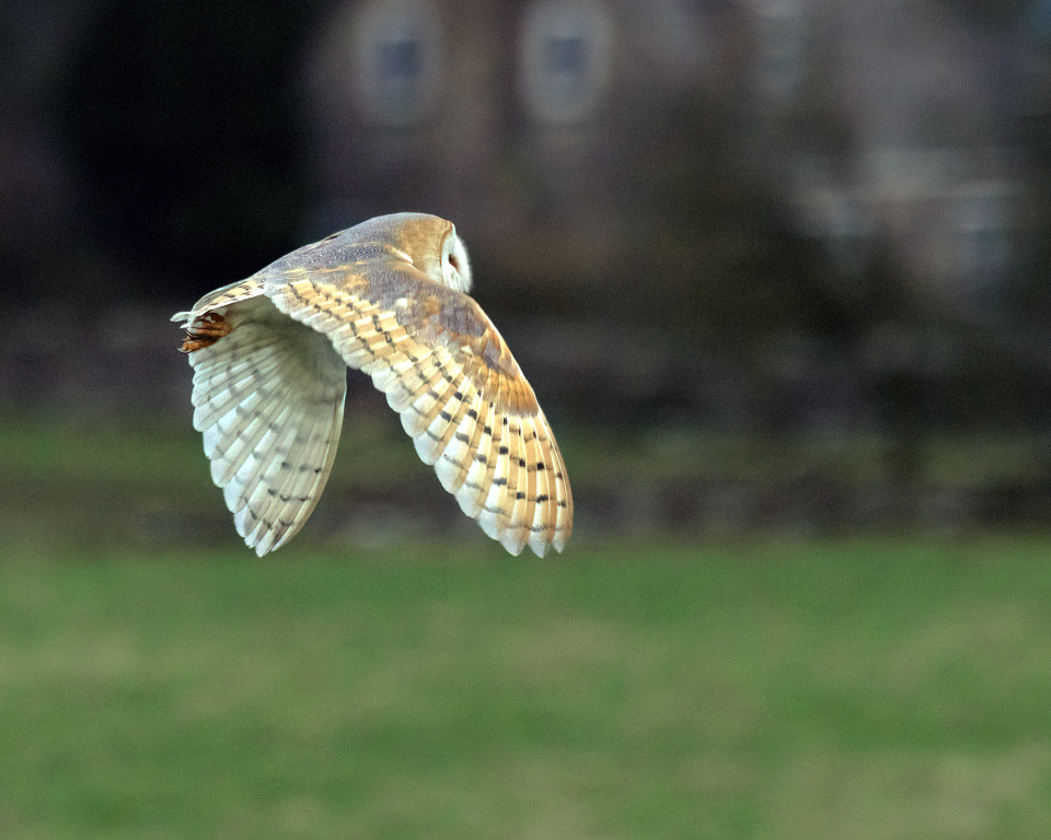 4000 | Hillyblips | Blipfoto