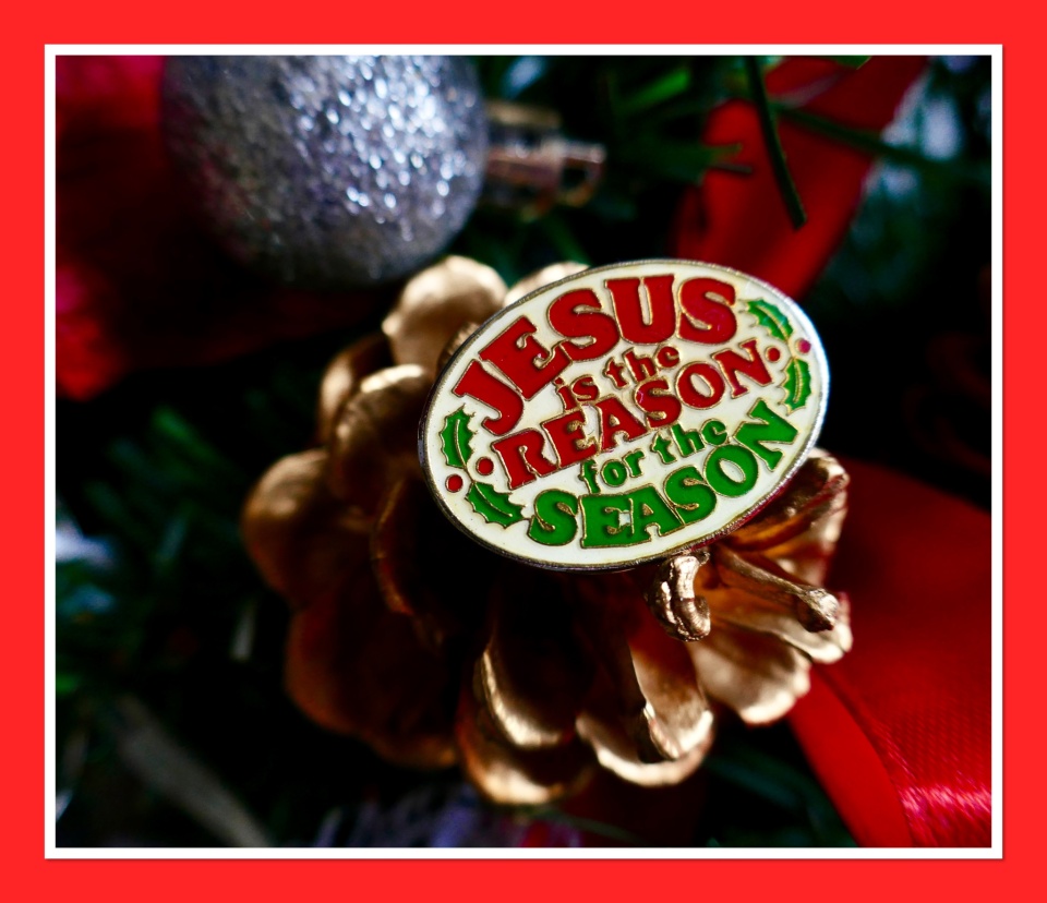 TINY TUESDAY HAIKU | Honeycombebeach | Blipfoto