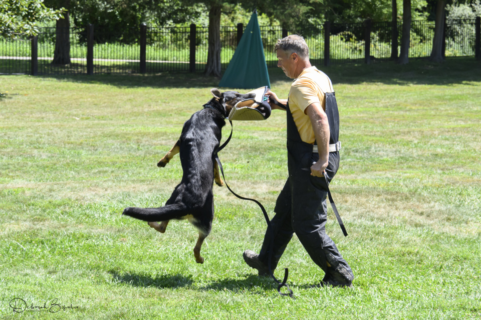 The Bite | dbifulco | Blipfoto