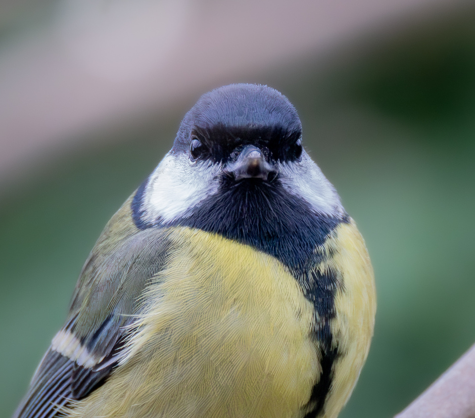 Happy day | joff | Blipfoto