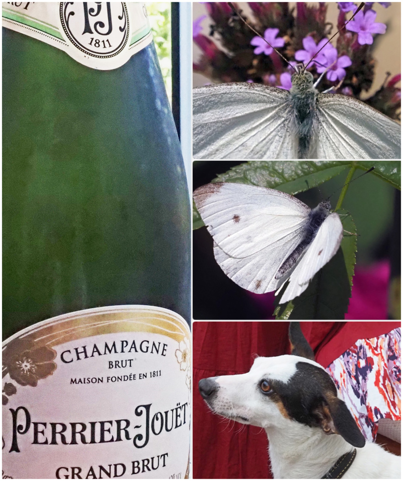 Champagne breakfast | Miranda1008 | Blipfoto