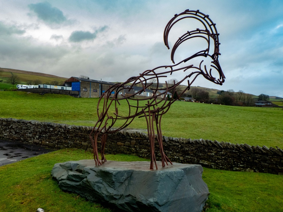 Goat Gap | Puffin | Blipfoto