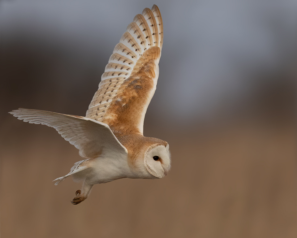 Passing By | Hillyblips | Blipfoto