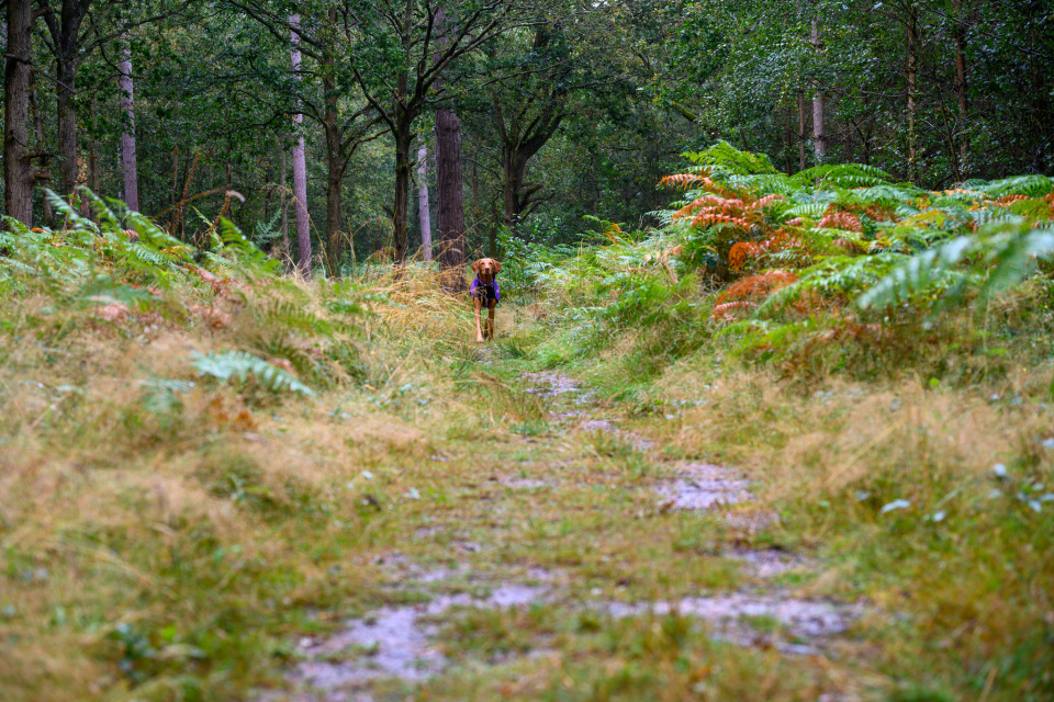 A rainy day | NickyR | Blipfoto